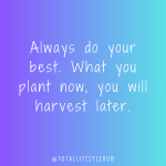 50 Motivational Quotes: Inspiration to be your best self in 2024 ...