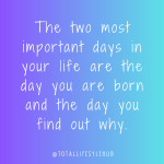 50 Motivational Quotes: Inspiration to be your best self in 2024 ...